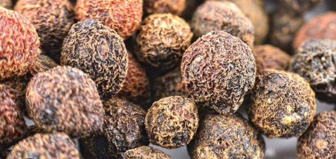 Sil Timur: The Nepali Himalayan Spice That's Taking the Culinary World ...